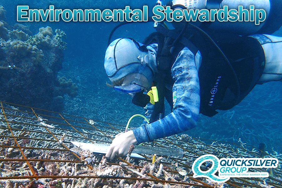 How can we all help the Environment | Environmental Stewardship ...